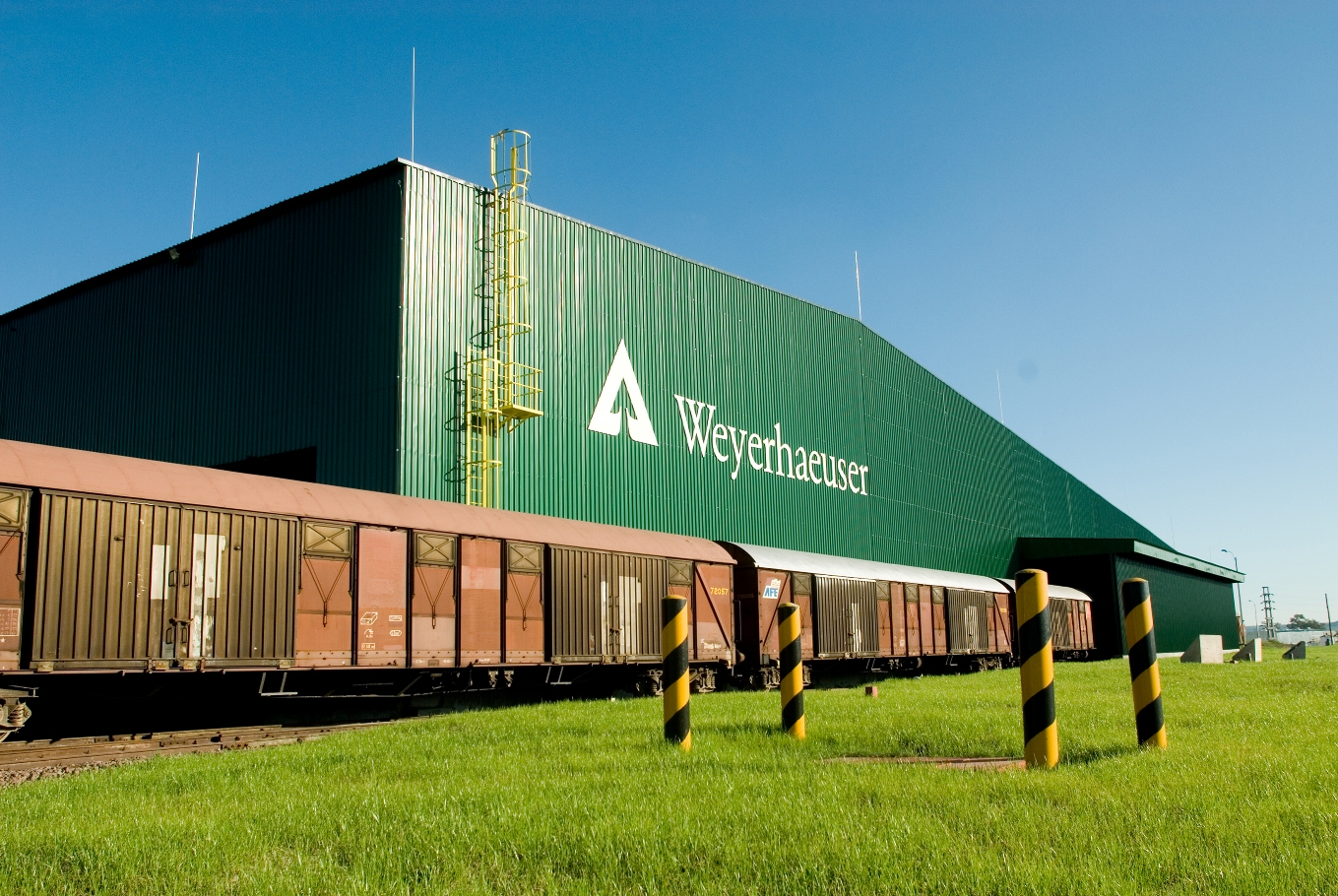 Weyerhaeuser explora vender su negocio maderero en Uruguay - Revista ...