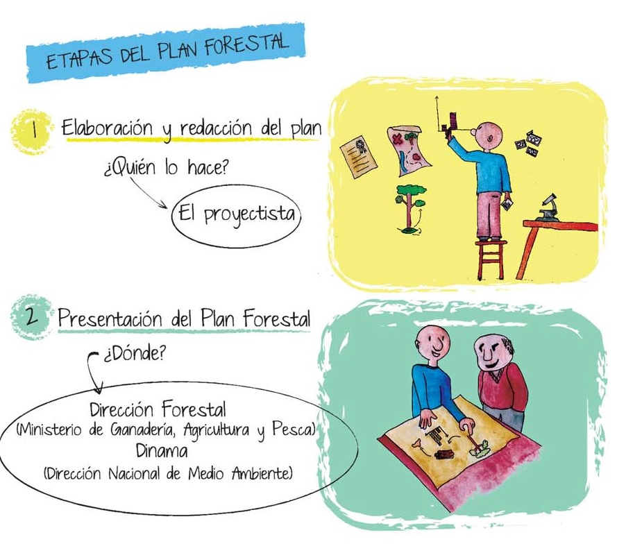 El desafío del Plan Forestal - Revista Forestal Revista Forestal