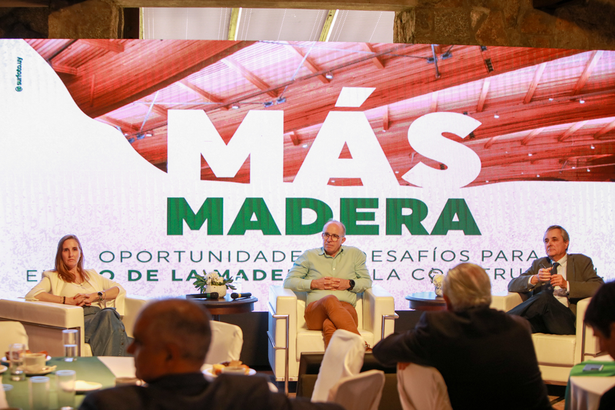 Más Madera: construcción en madera en Uruguay - Revista Forestal ...