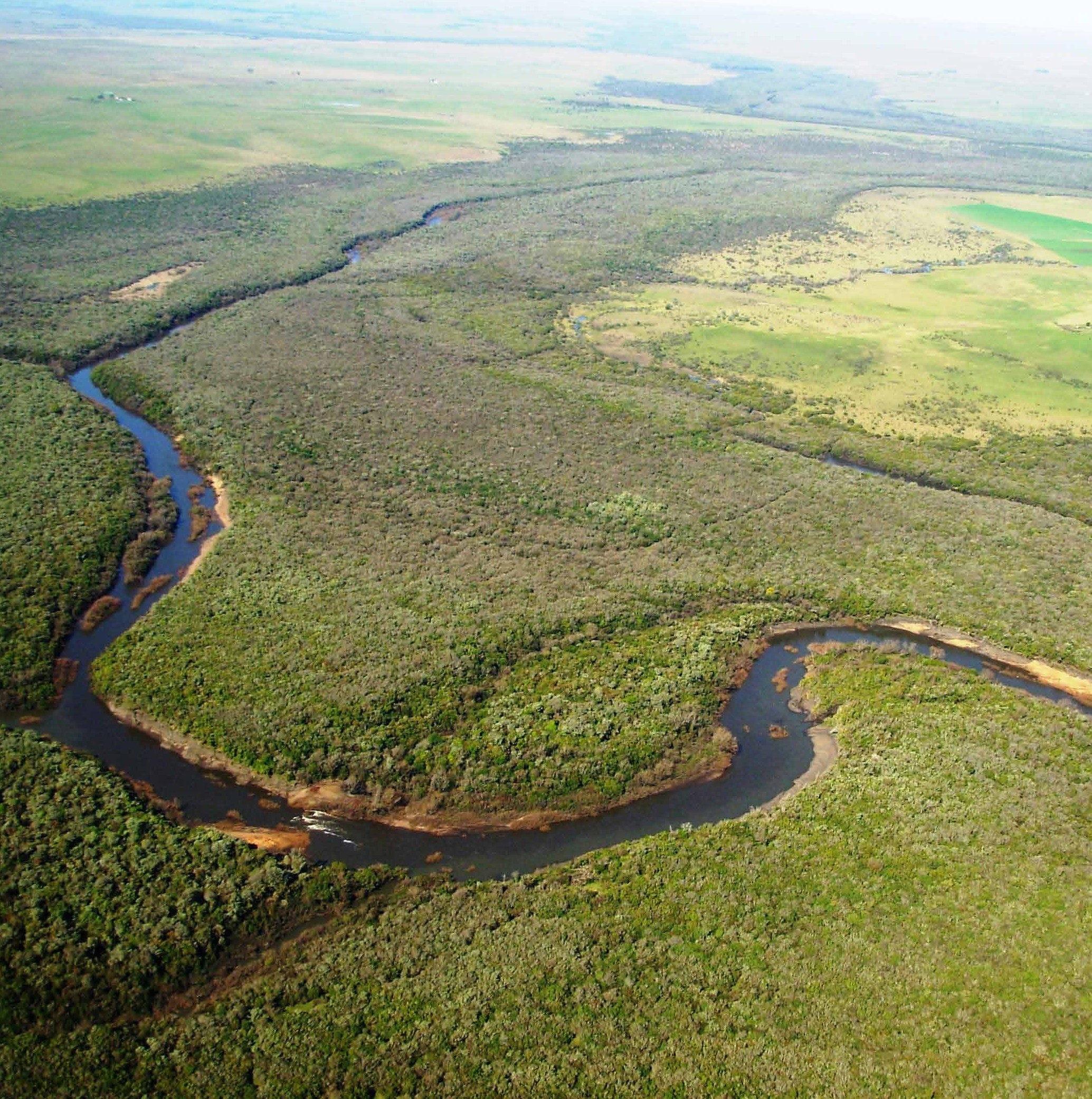 "El bosque nativo es un aliado del sistema productivo" - Revista ...